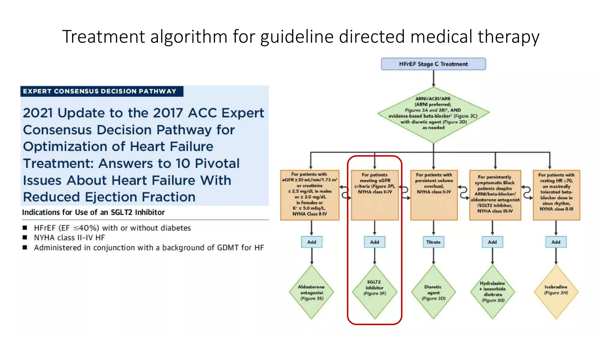 SGLT2 inhibitors in Heart failure: A prized addition to HF treatment ...