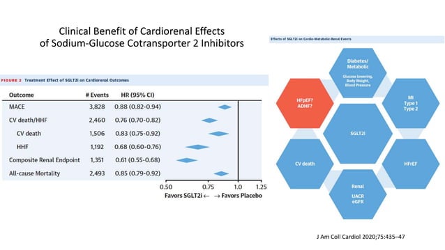 SGLT2 inhibitors in Heart failure: A prized addition to HF treatment ...