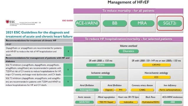 SGLT2 inhibitors in Heart failure: A prized addition to HF treatment ...