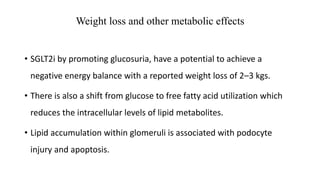 SGLT2 INHIBITORS IN NEPHROLOGY.pptx