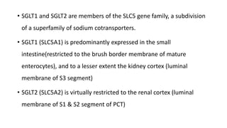 SGLT2 INHIBITORS IN NEPHROLOGY.pptx