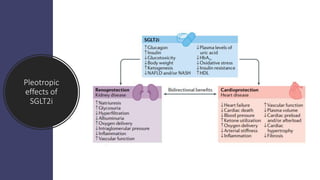 SGLT2 INHIBITORS IN NEPHROLOGY.pptx
