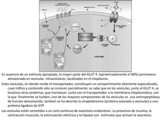 Sglut y Glut | PDF