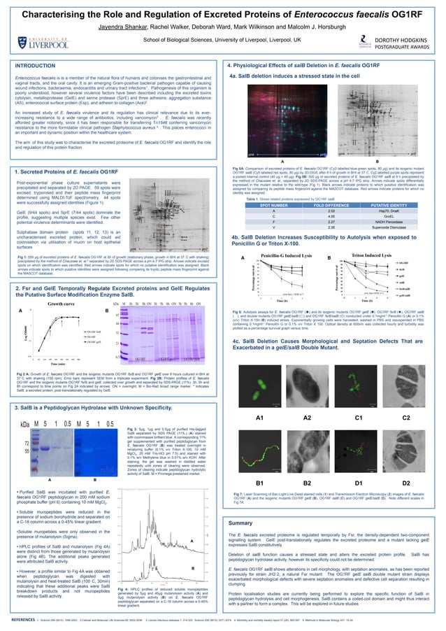 Sgm Poster Final | PPTX