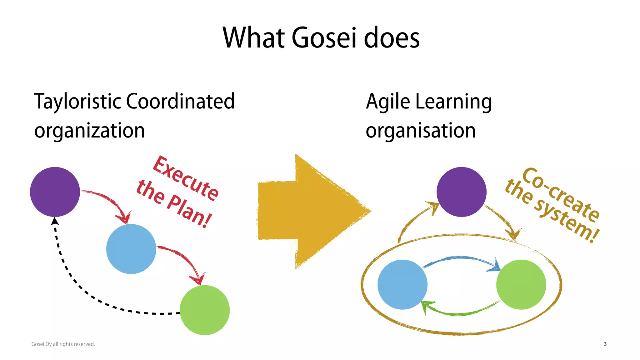 Actionable Fearless Leadership | PDF