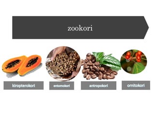 Perkembangbiakan_generatif_tumbuhan.pptx