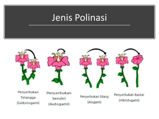 Perkembangbiakan_generatif_tumbuhan.pptx