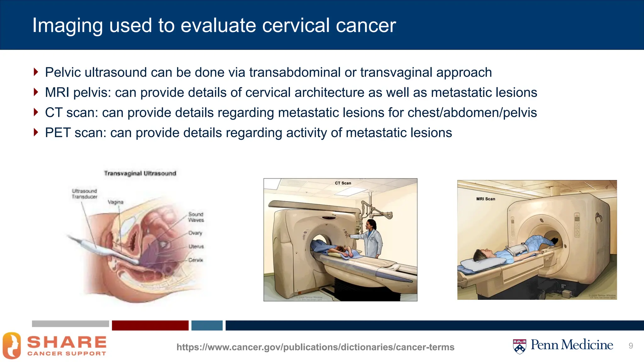 Report Back from SGO 2024: What’s the Latest in Cervical Cancer? | PDF