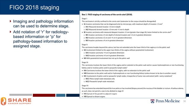 Report Back from SGO 2024: What’s the Latest in Cervical Cancer? | PDF ...