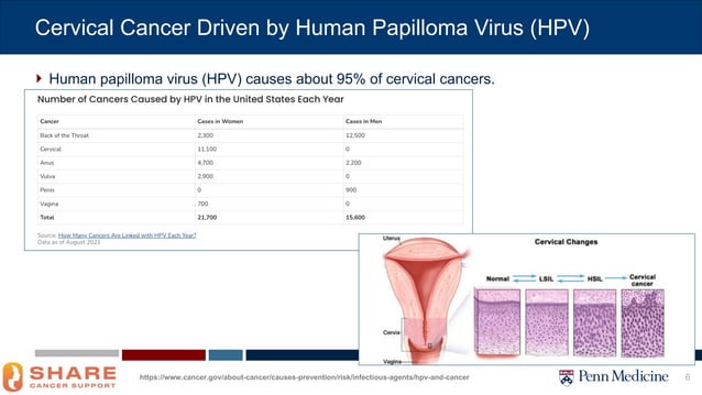 Report Back from SGO 2024: What’s the Latest in Cervical Cancer? | PDF ...