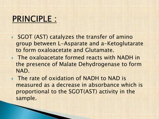 ESTIMATION OF SGOT | PPTX | Chemistry | Science