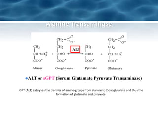 sgot and sgpt | PPT