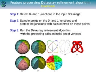 Feature preserving Delaunay mesh generation from 3D multi-material images | PPT