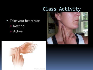 Final Sgp powerpoint | PPT