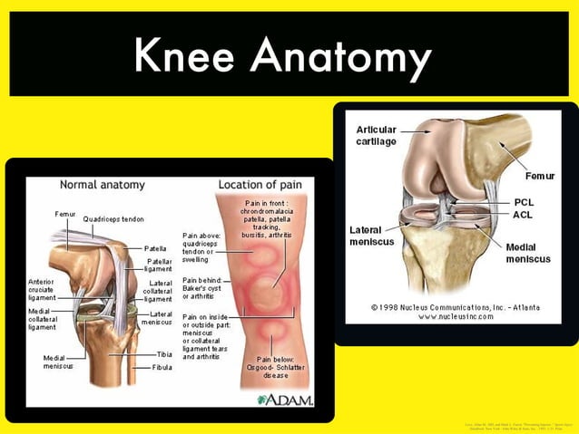 Sgp ppt ppt version | PPT