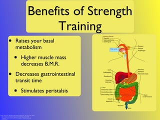 Sgp ppt ppt version | PPT