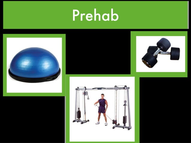 Sgp ppt ppt version | PPT