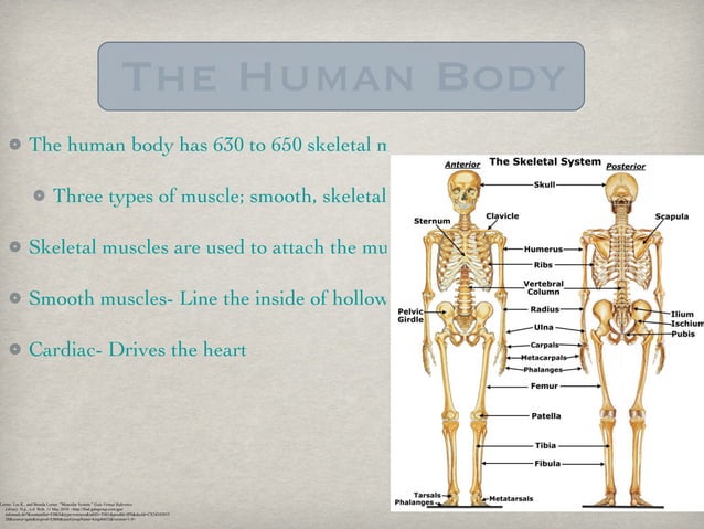 Sgp ppt ppt version | PPT