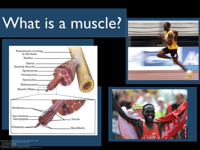 Sgp ppt ppt version | PPT