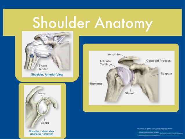 Sgp ppt ppt version | PPT