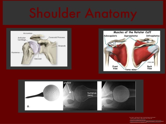 Sgp ppt ppt version | PPT