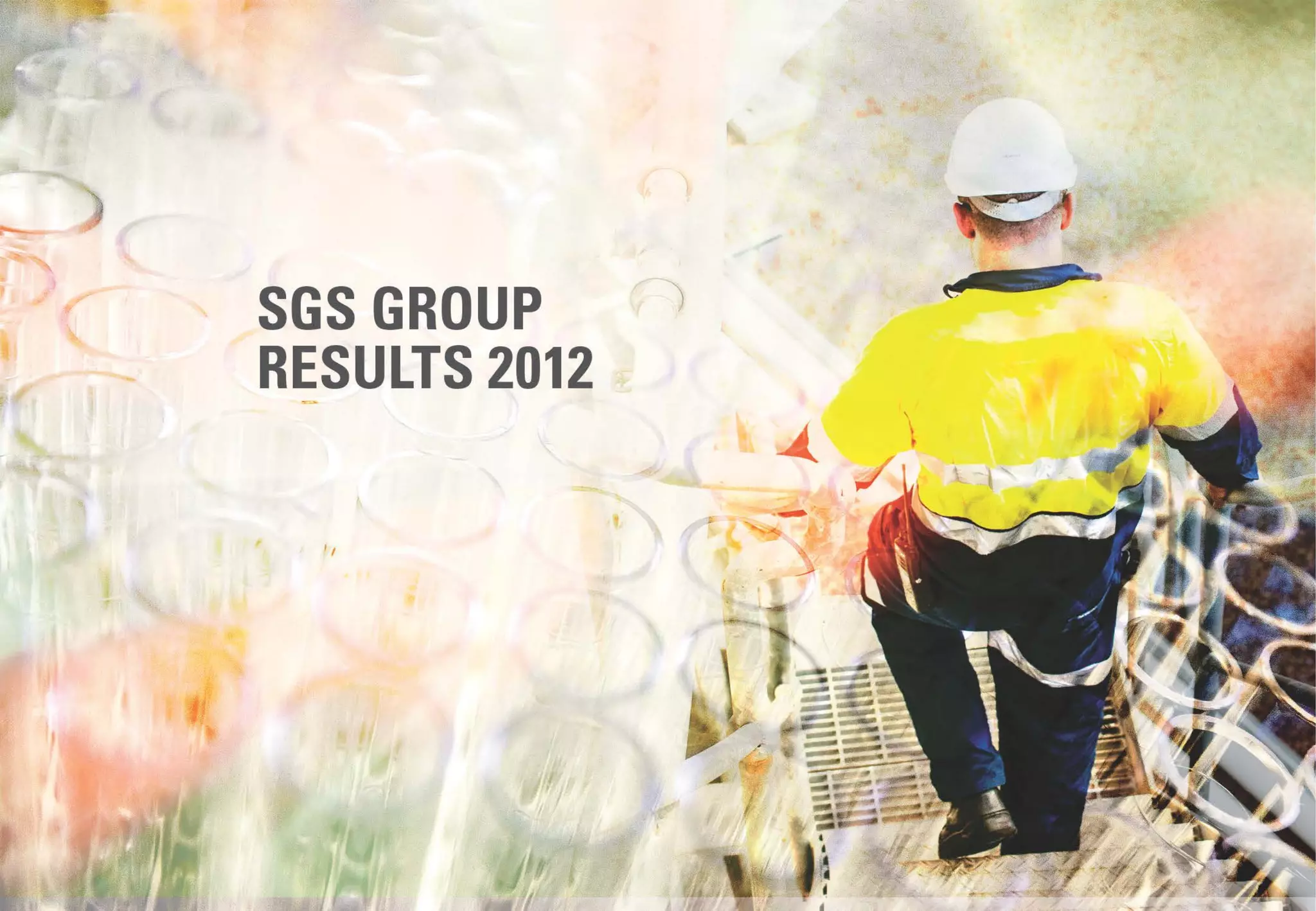 SGS Group Results 2012 | PPT