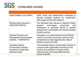 Understanding Sustainability in the Fish and Seafood Industry and the ...