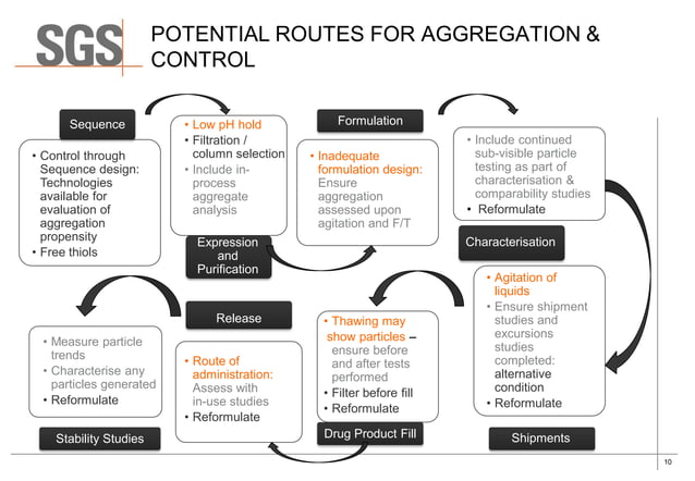 Particles in the Biotech Product Life Cycle: Analysis, Identification ...