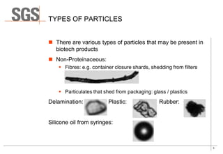 Particles in the Biotech Product Life Cycle: Analysis, Identification ...