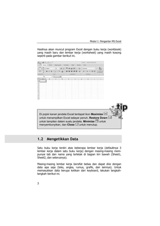 Sgs ms-off-excel-2007 | PDF