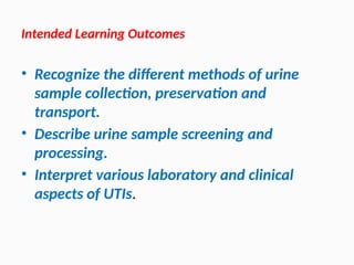 SGS 2022-2023 kidney and Urinary System module.pptx