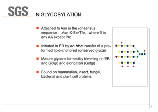 Glycan Structural Analysis Throughout Biotherapeutic Development | PDF