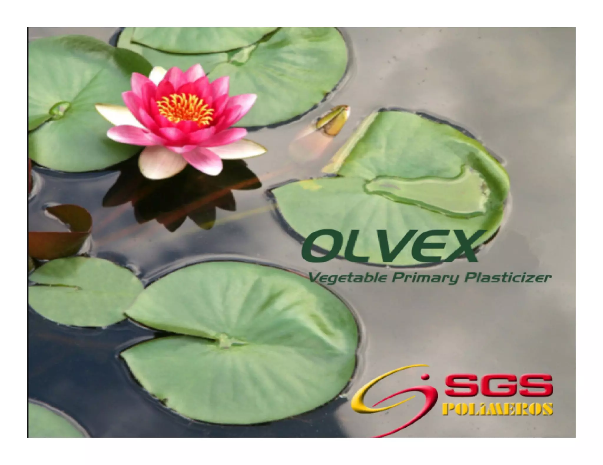 Olvex: Bio-based Primary Plasticizer | PDF