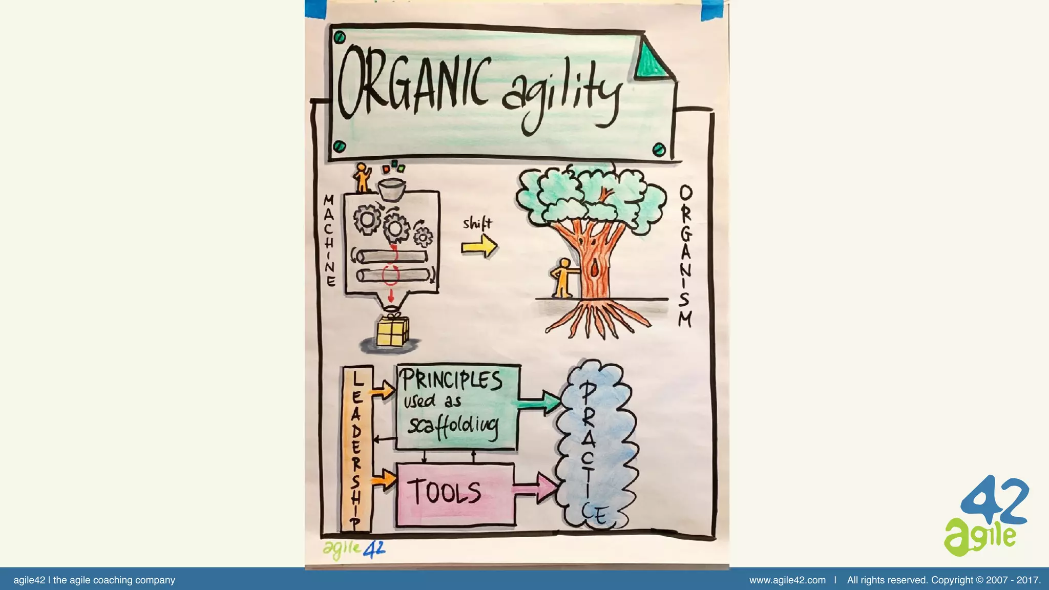 How And Why Your Agile Transition Will Fail Ppt