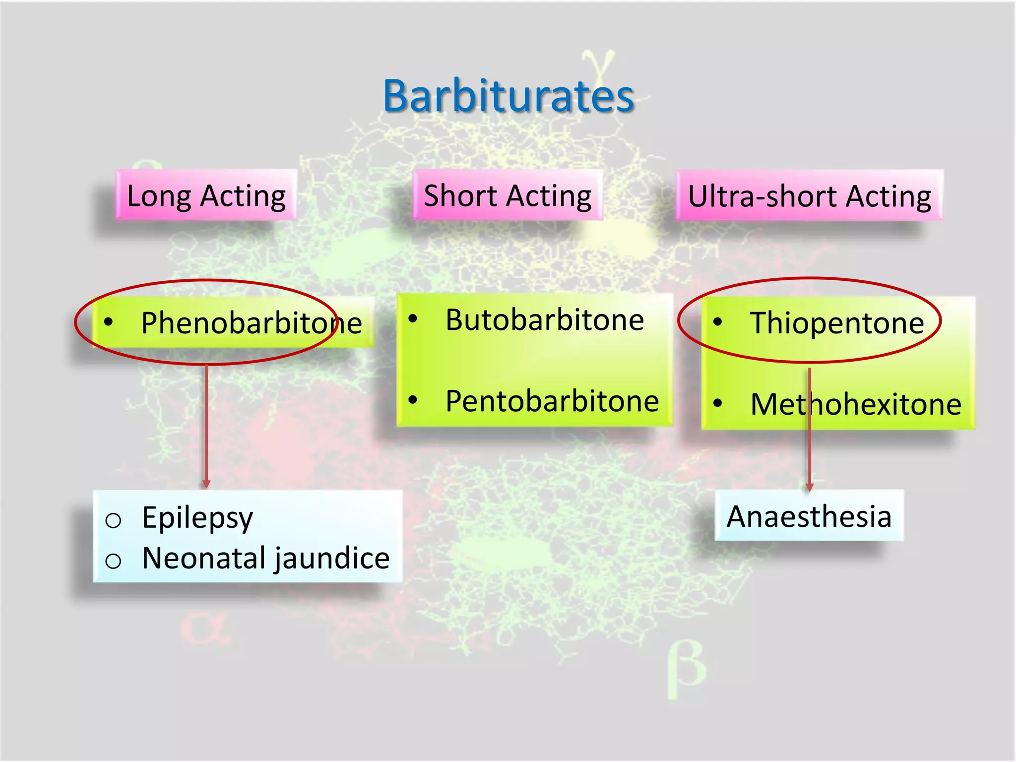 Sedative Hypnotic | PPTX