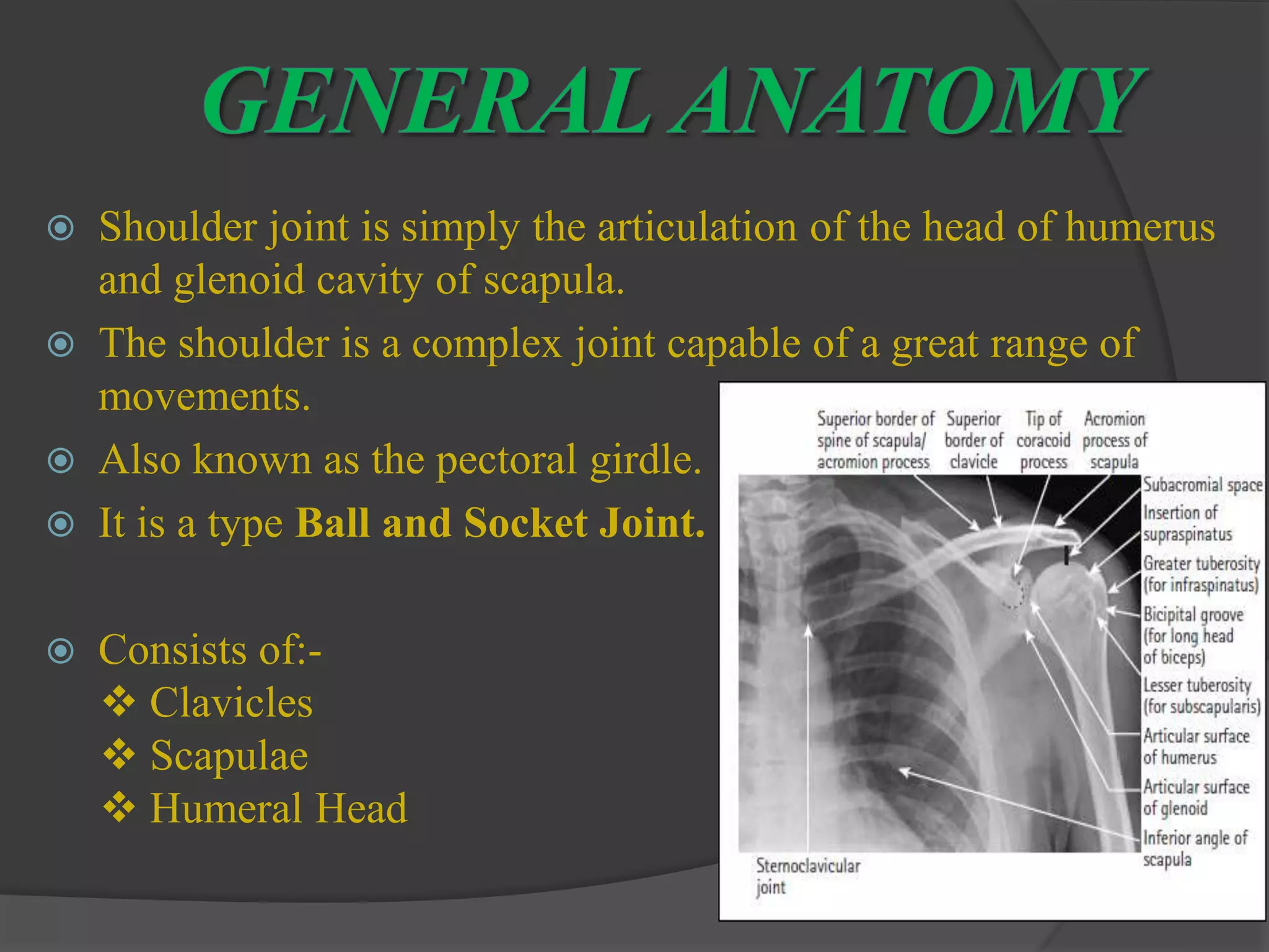 SHOULDER JOINT | PPTX