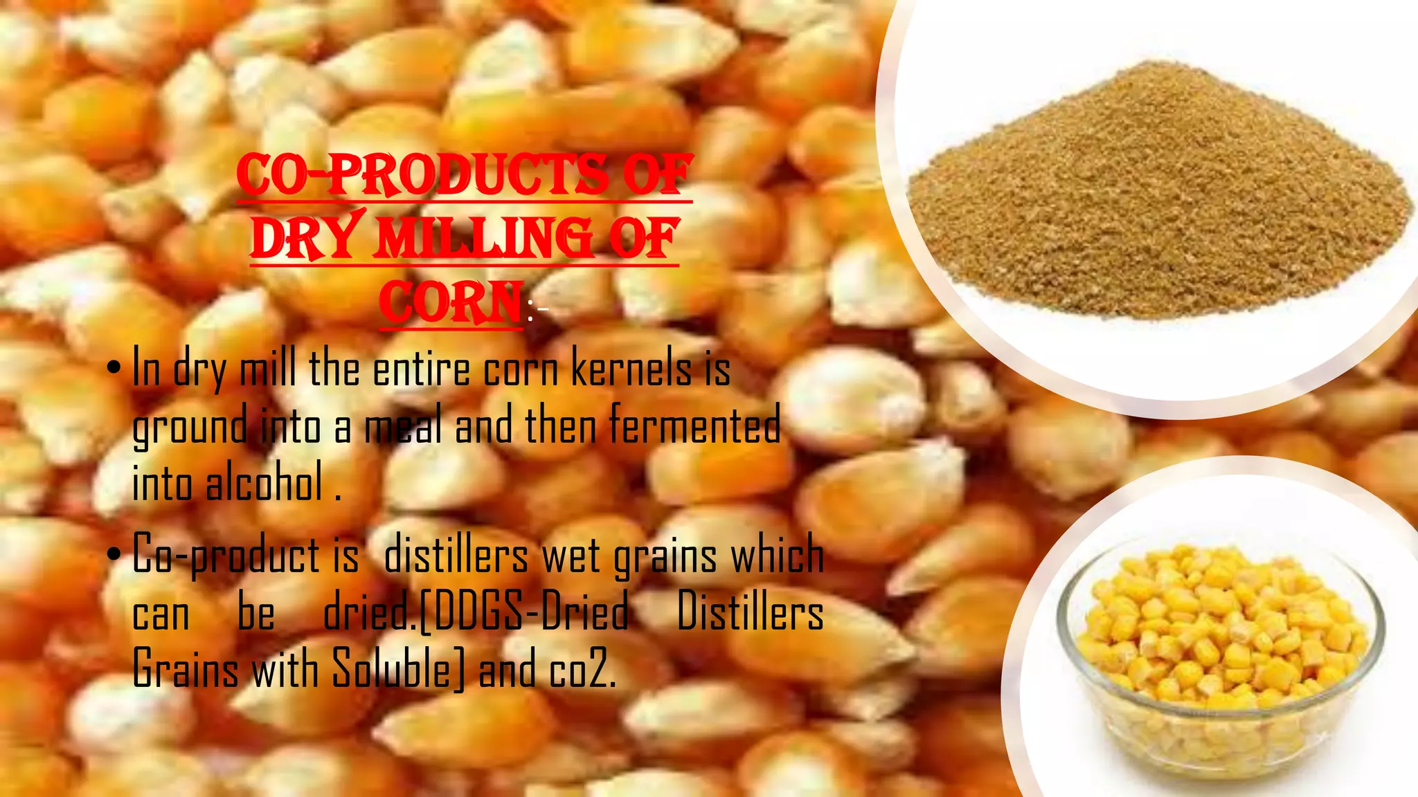 ABITHA FRANCIS drymilling and wet milling of corn | PDF