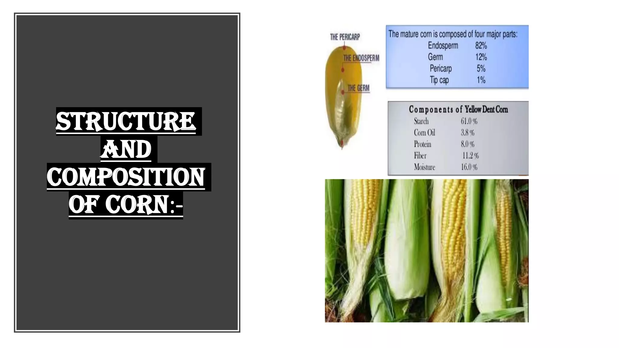 ABITHA FRANCIS drymilling and wet milling of corn | PDF