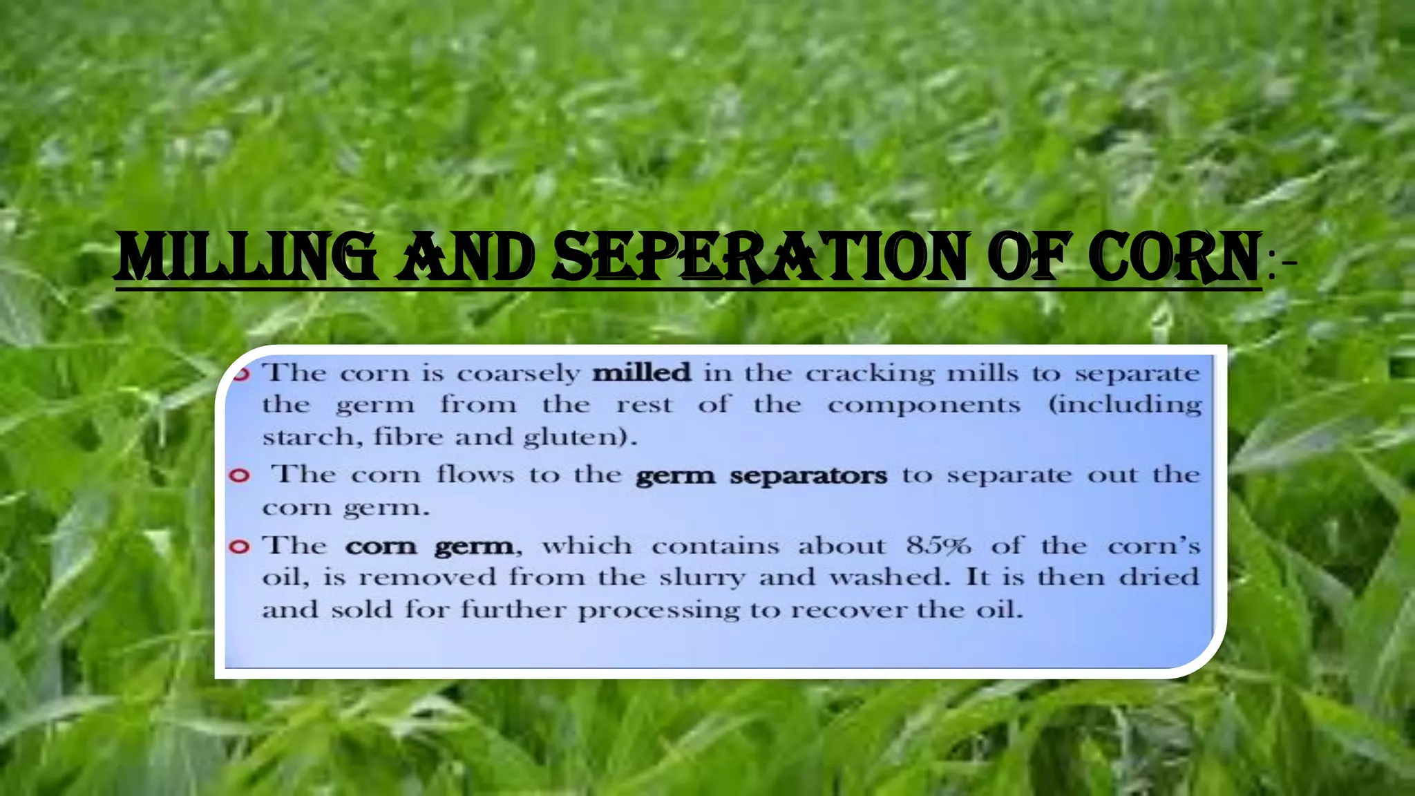 ABITHA FRANCIS drymilling and wet milling of corn | PDF