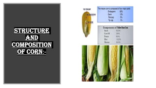 ABITHA FRANCIS drymilling and wet milling of corn | PDF