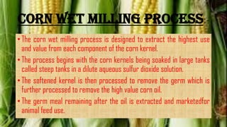 ABITHA FRANCIS drymilling and wet milling of corn | PDF