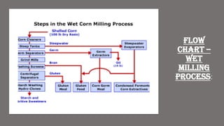 ABITHA FRANCIS drymilling and wet milling of corn | PDF