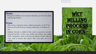 ABITHA FRANCIS drymilling and wet milling of corn | PDF