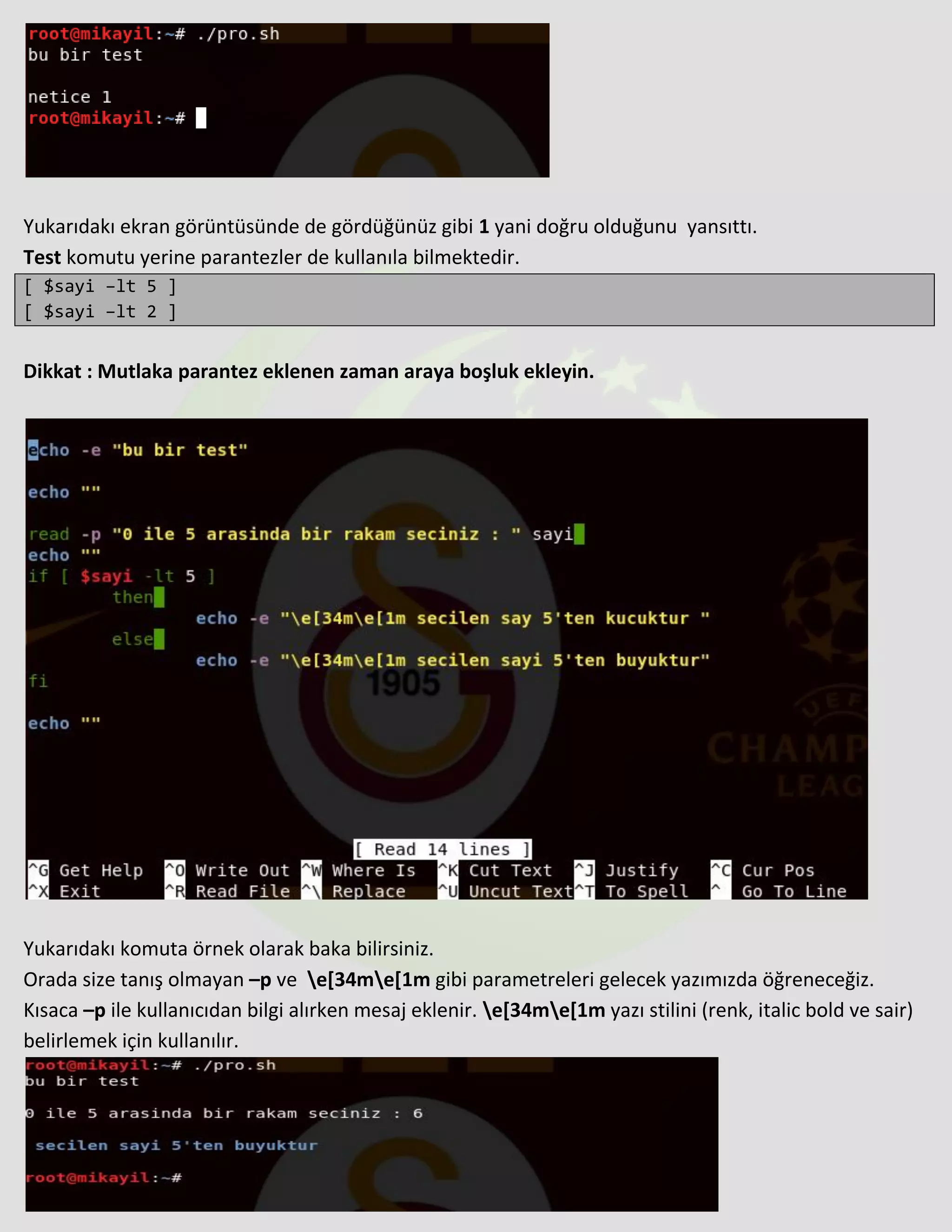 Kabuk programlama 2 | PDF