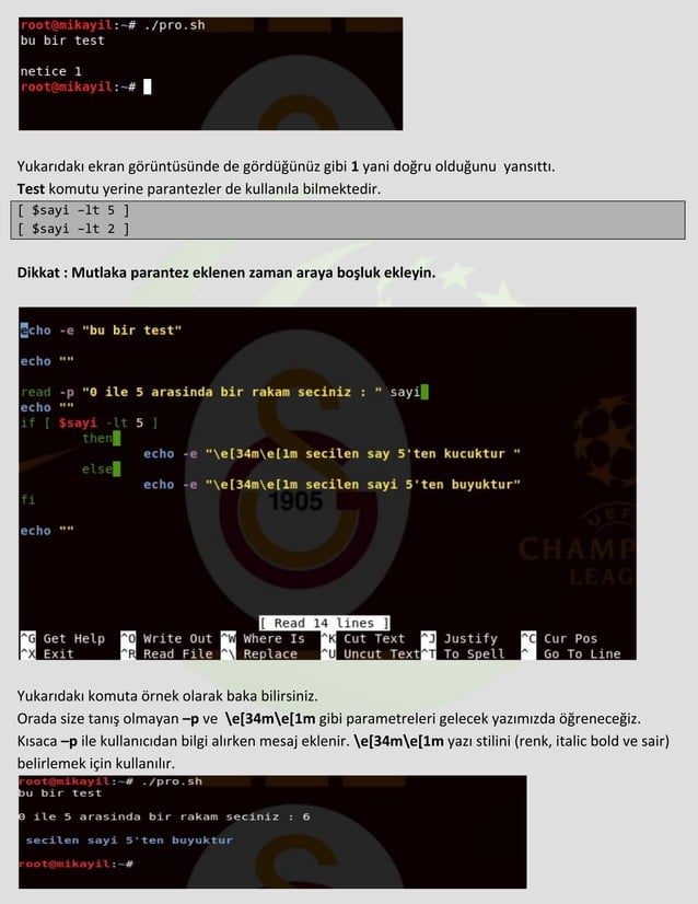 Kabuk programlama 2 | PDF