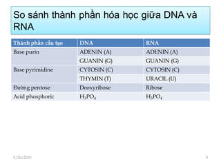Bài giảng hóa học acid nucleic | PDF