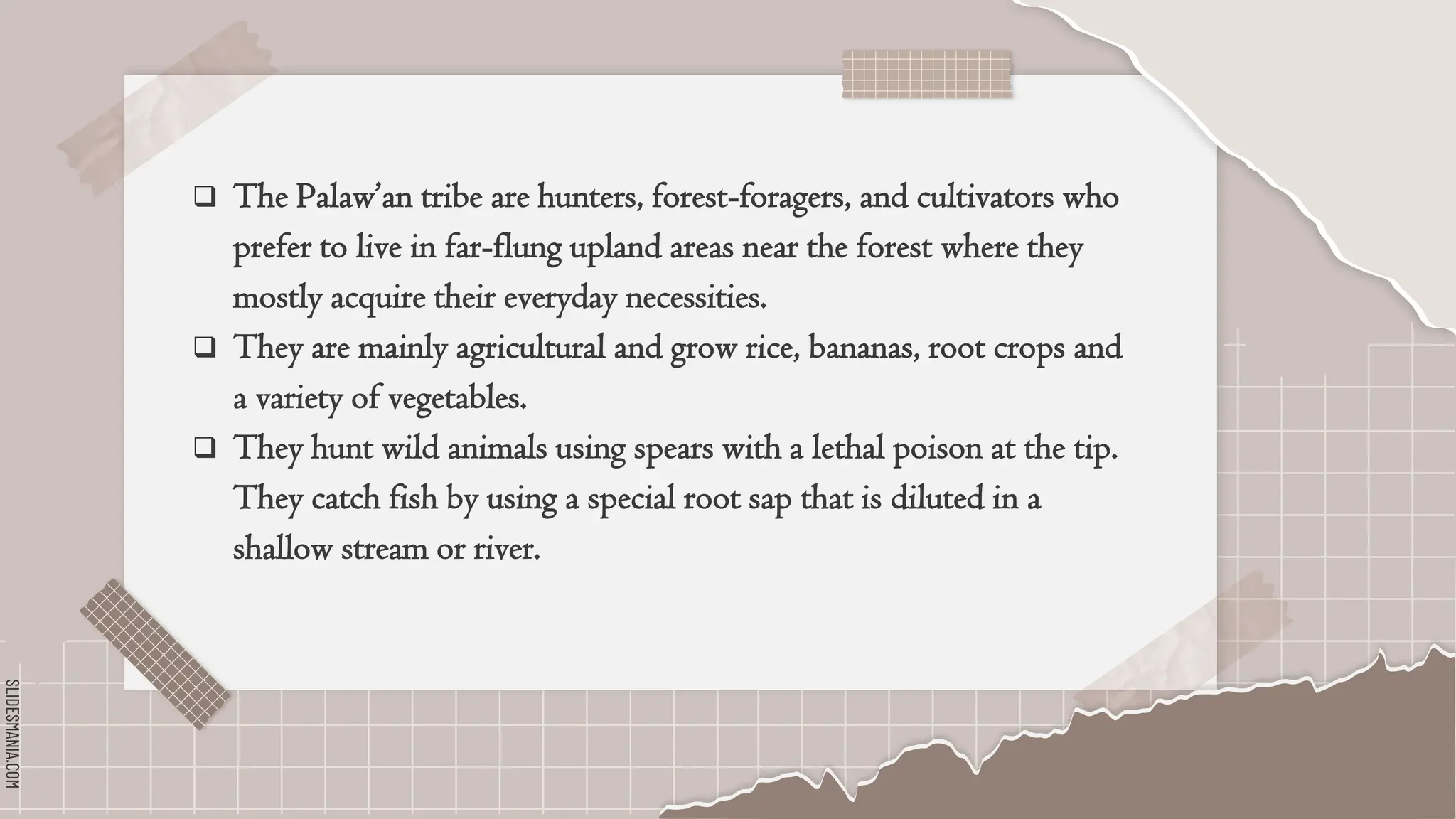 Palawanun Tribe, kultura, tradisyon, relihiyon | PPTX