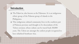 Palawanun Tribe, kultura, tradisyon, relihiyon | PPTX