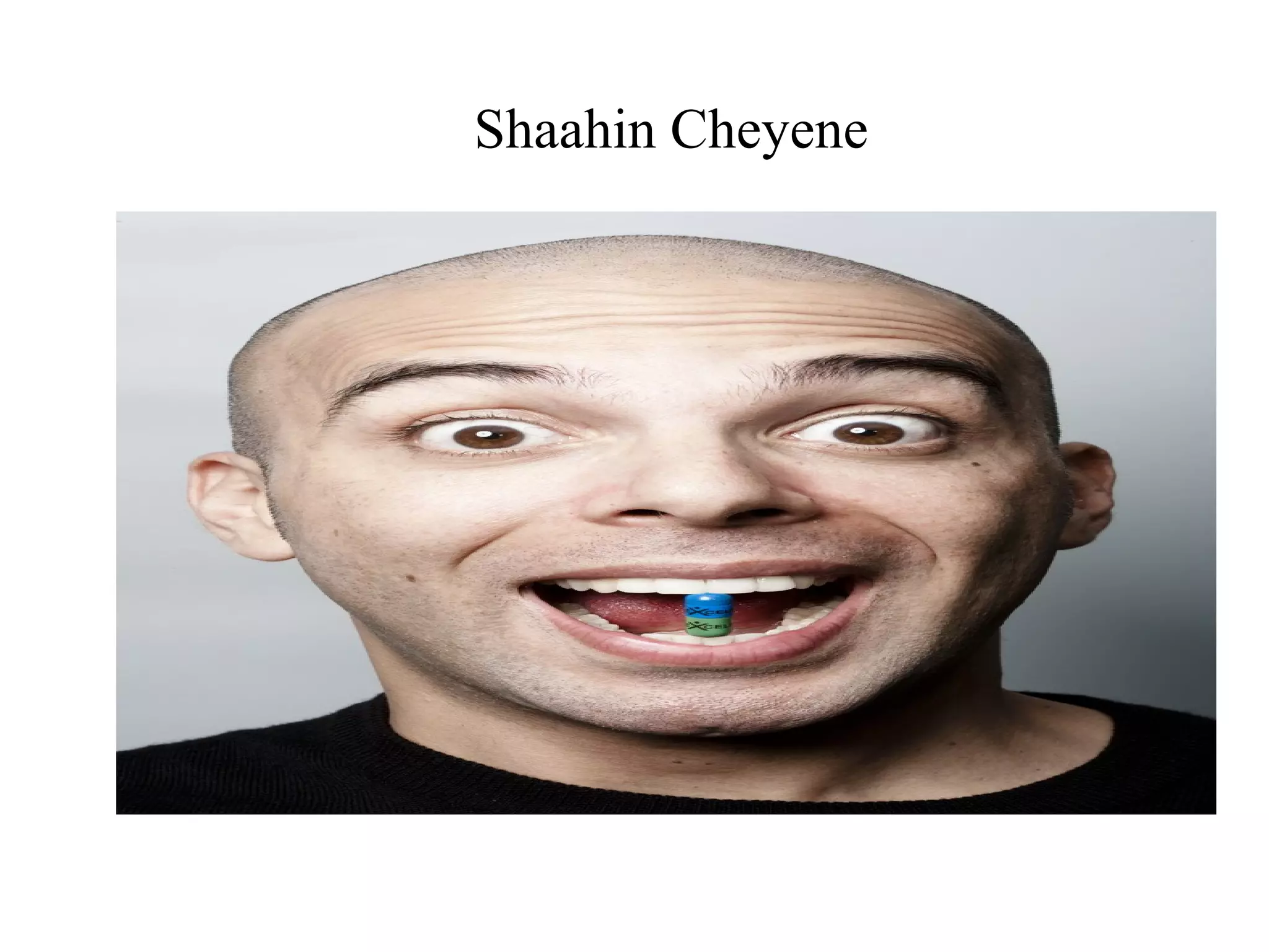 Shaahin cheyene | PPT