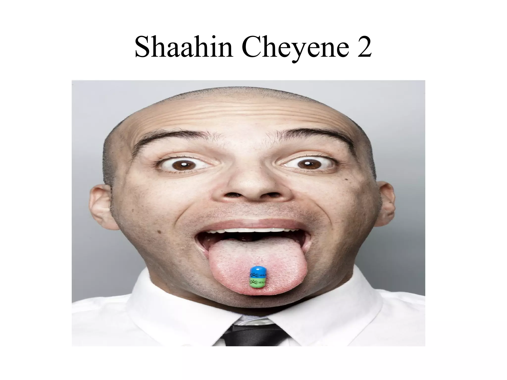 Shaahin cheyene | PPT